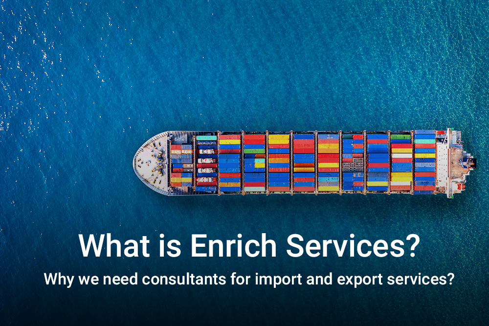 Enrich Services? Why we need consultants for import and export services?