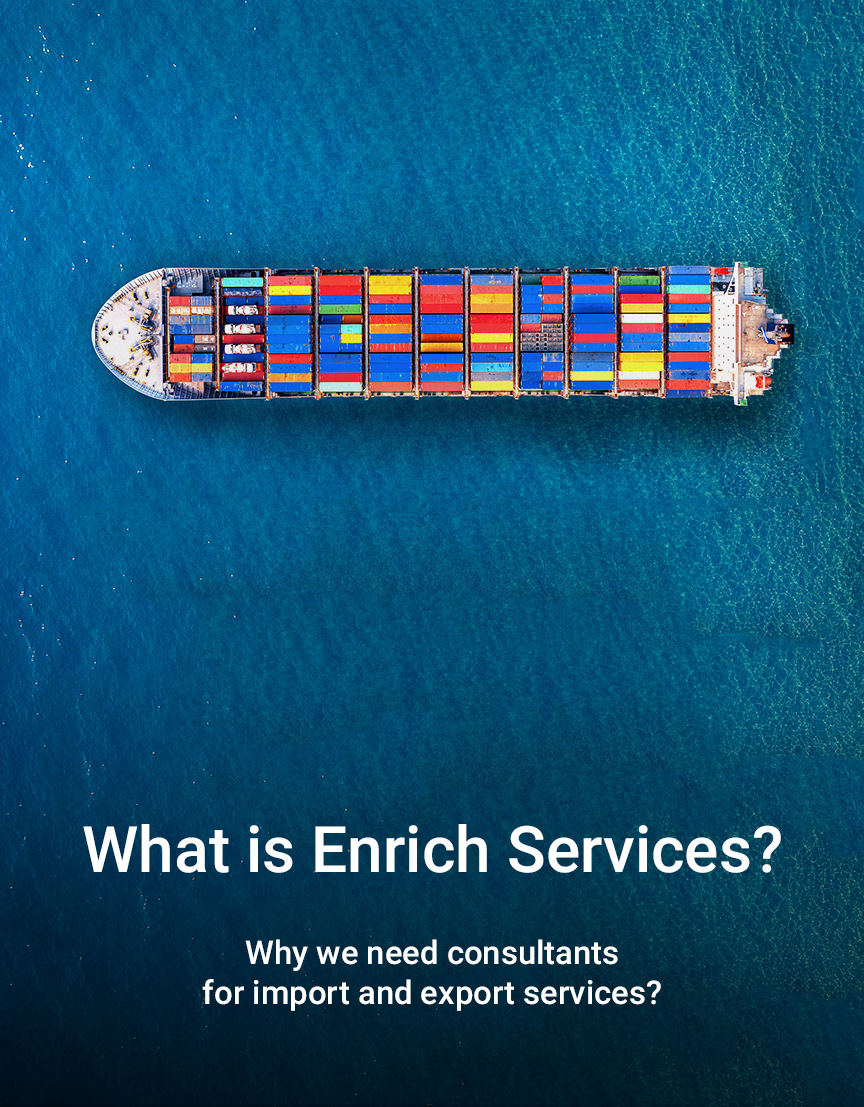 Enrich Services? Why we need consultants for import and export services?