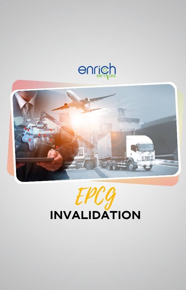 What is EPCG Invalidation - Enrich Professional services?