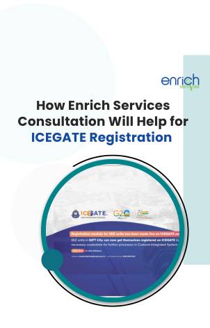 How Enrich Services Consultation Will Help for ICEGATE Registration