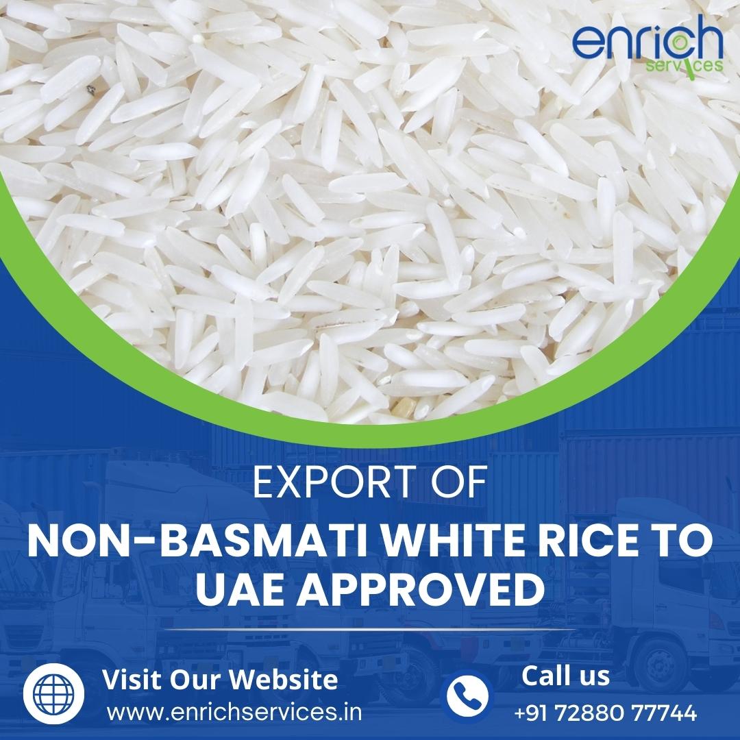 Export Of Non-Basmati White Rice to UAE Approved | Enrich Services ...